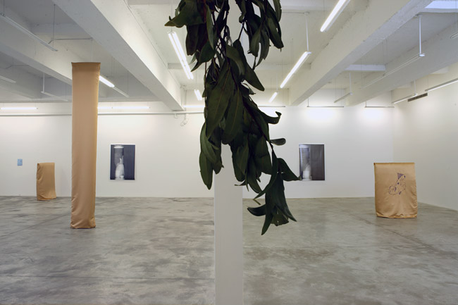 Trisha Donnelly | Casey Kaplan